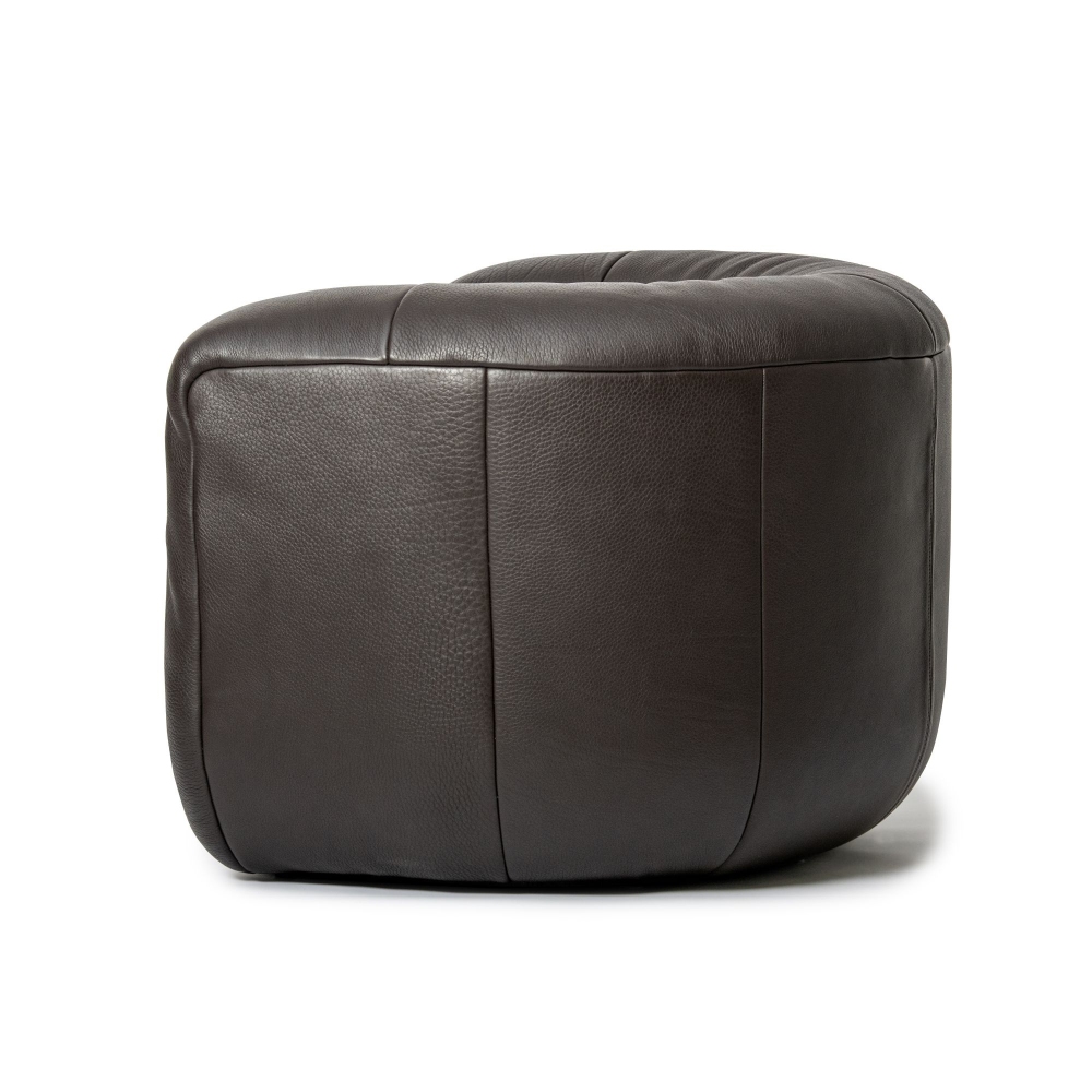 de Sede DS-707/01 Armchair